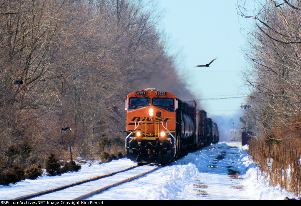 BNSF 6221 CSX Train Q300 - With Lots of Birds